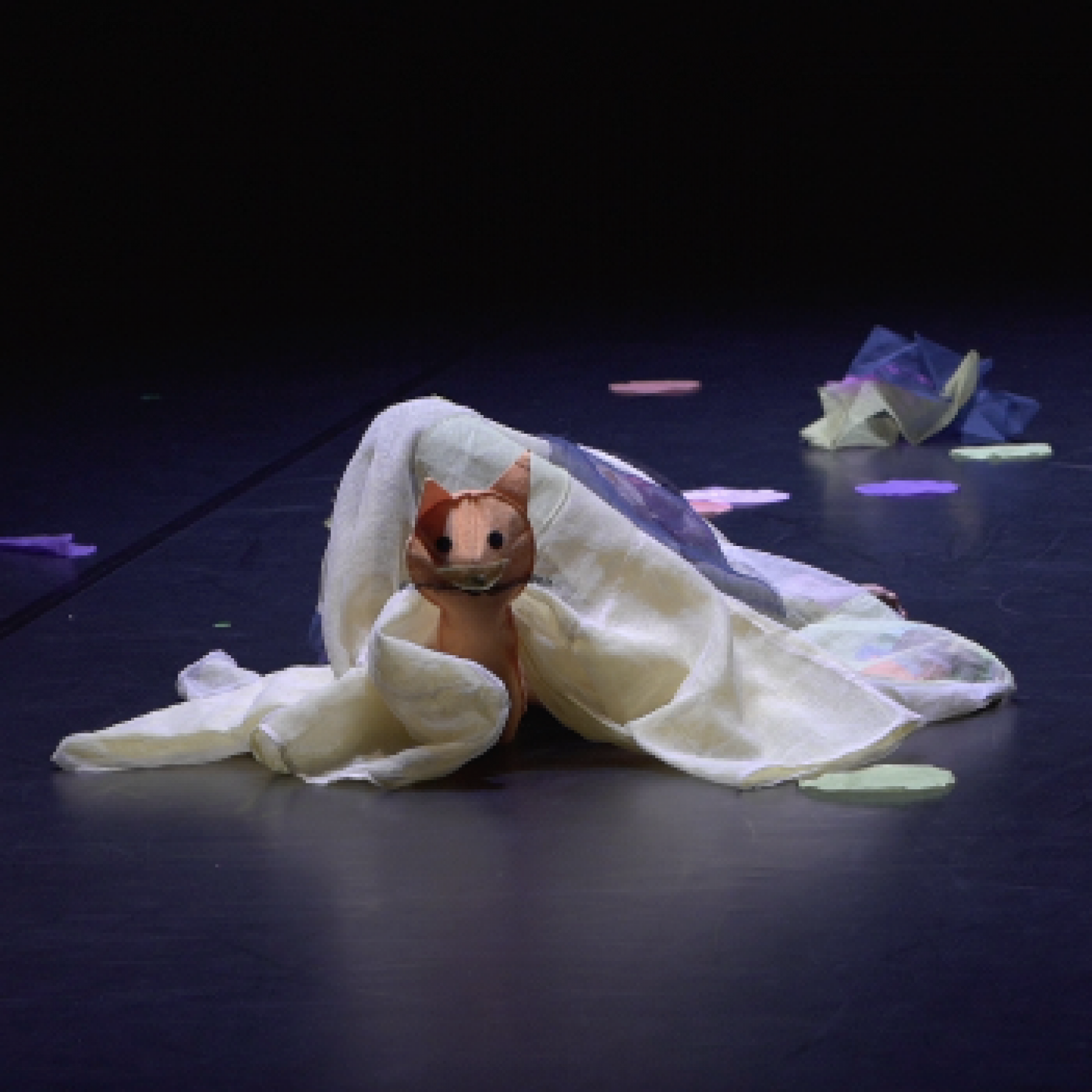 COCON - Théâtre de Chartres